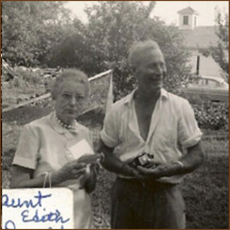 CONSTITUTION | Nichols Family